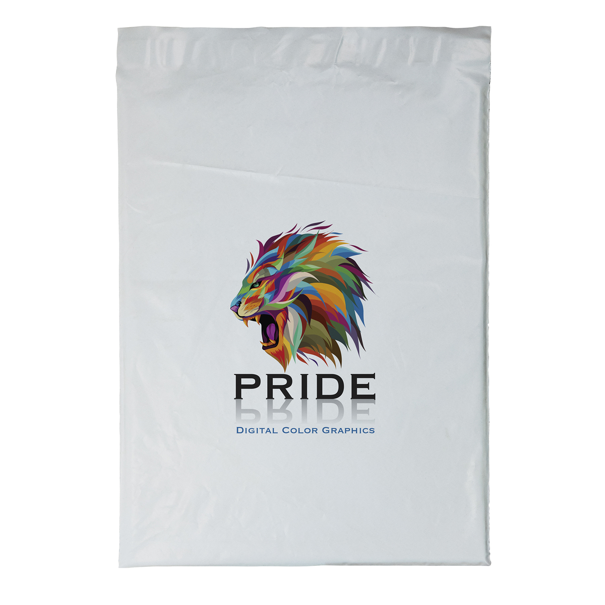 12 x 15½ Plastic Mailer (Dynamic Full Color | Lasting Impressions